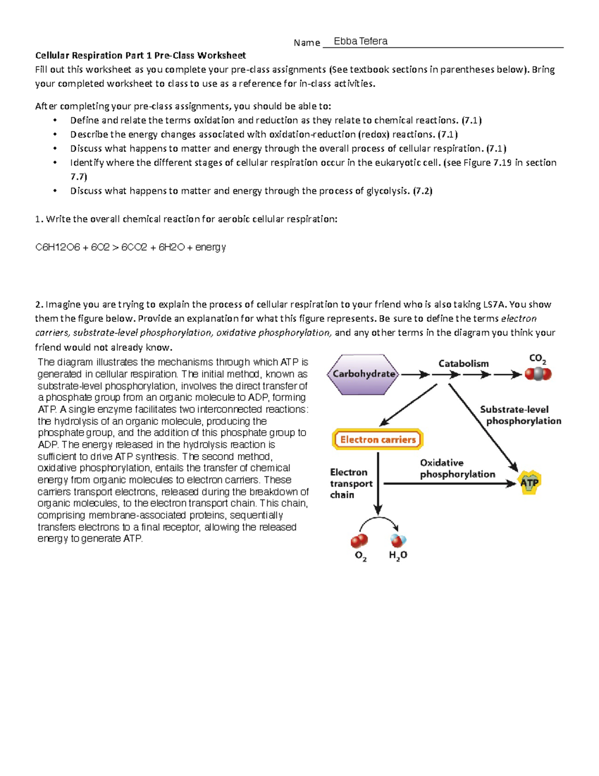 Week 3b Reading Guide: Cellular Respiration Part 1 - LS7A - Studocu