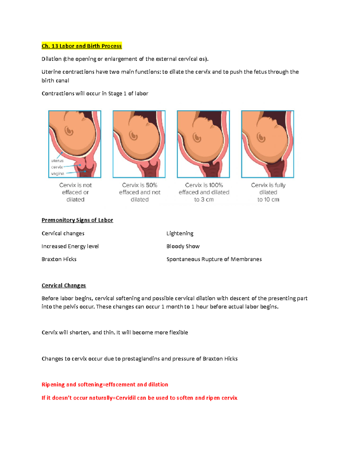 RN Maternity Ch. 13 Labor and Birth Process Study Guide - Studocu