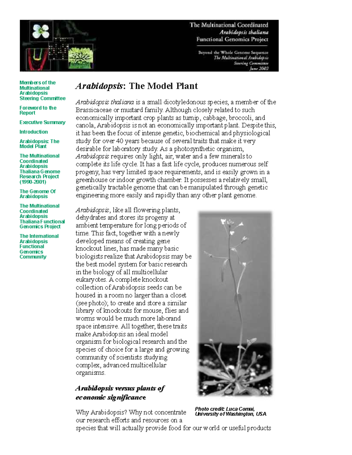 Arabidopsis thaliana: Insights from the Multinational Genome Projects ...