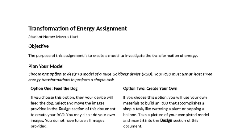 Transformation of Energy Assignment: Rube Goldberg Device Model - Studocu