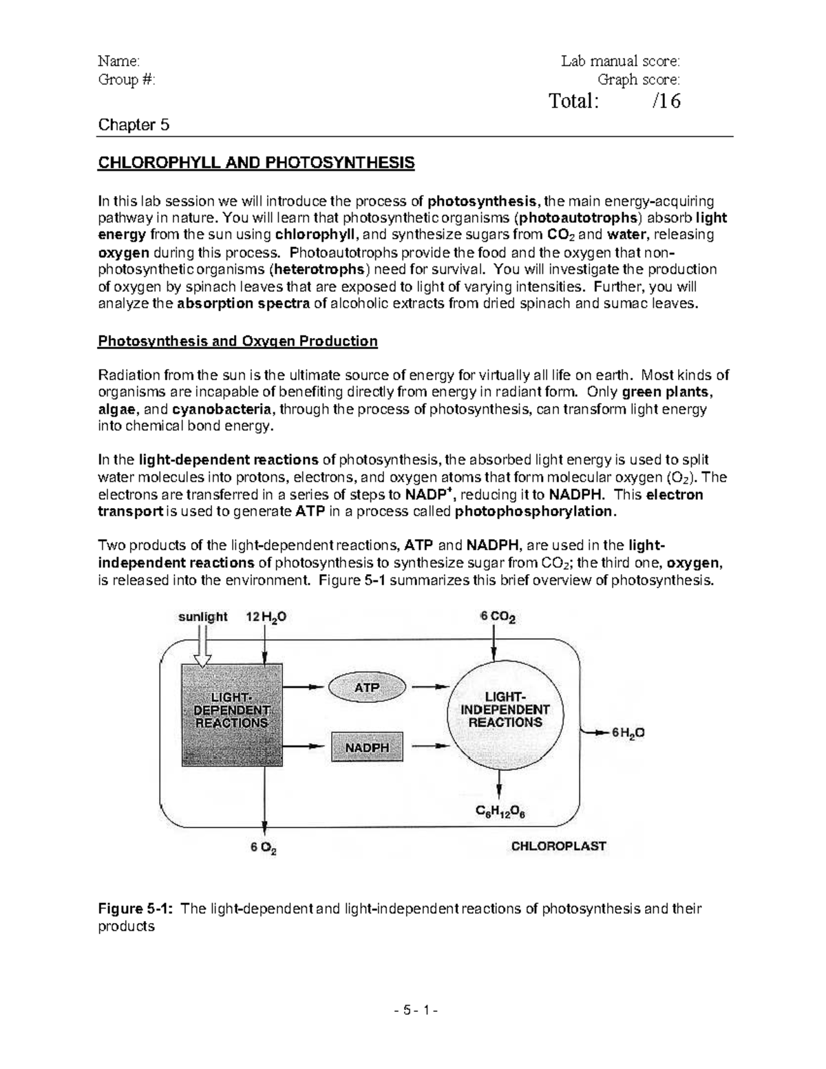 Chapter 5: Chlorophyll and Photosynthesis Lab Manual AY25-26 - Studocu