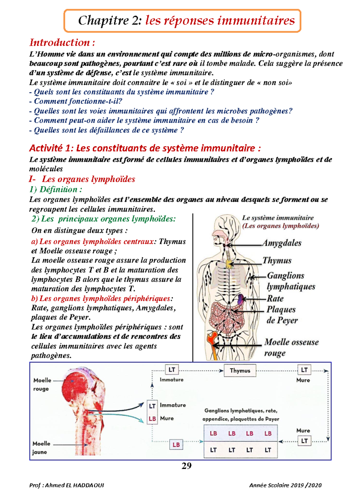 Cours d’immunologie - Le Système Immunitaire - 3ème Année Collège - Studocu