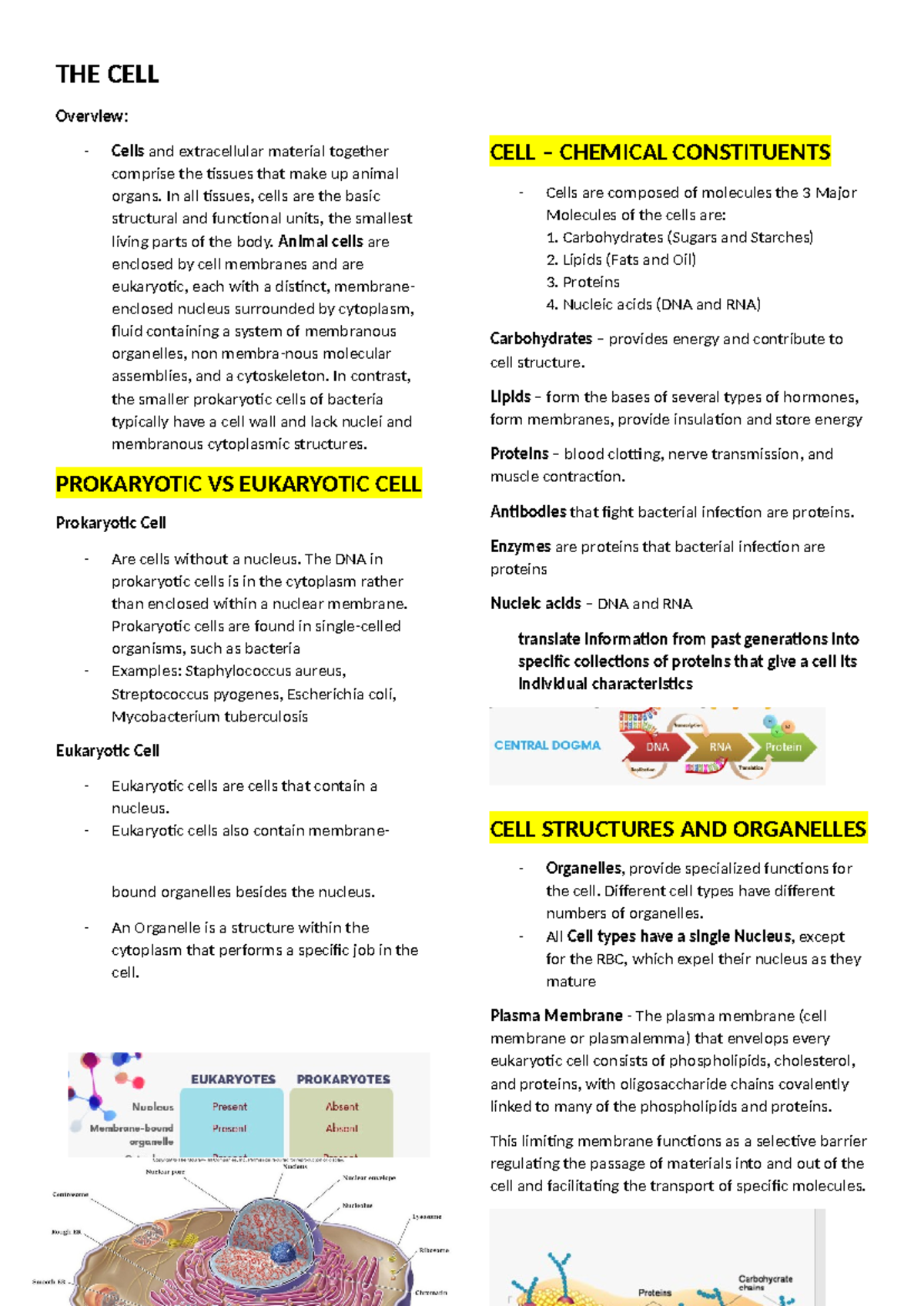 CELL STRUCTURES & FUNCTIONS IN CYTOGENETICS - BIO 101 - Studocu