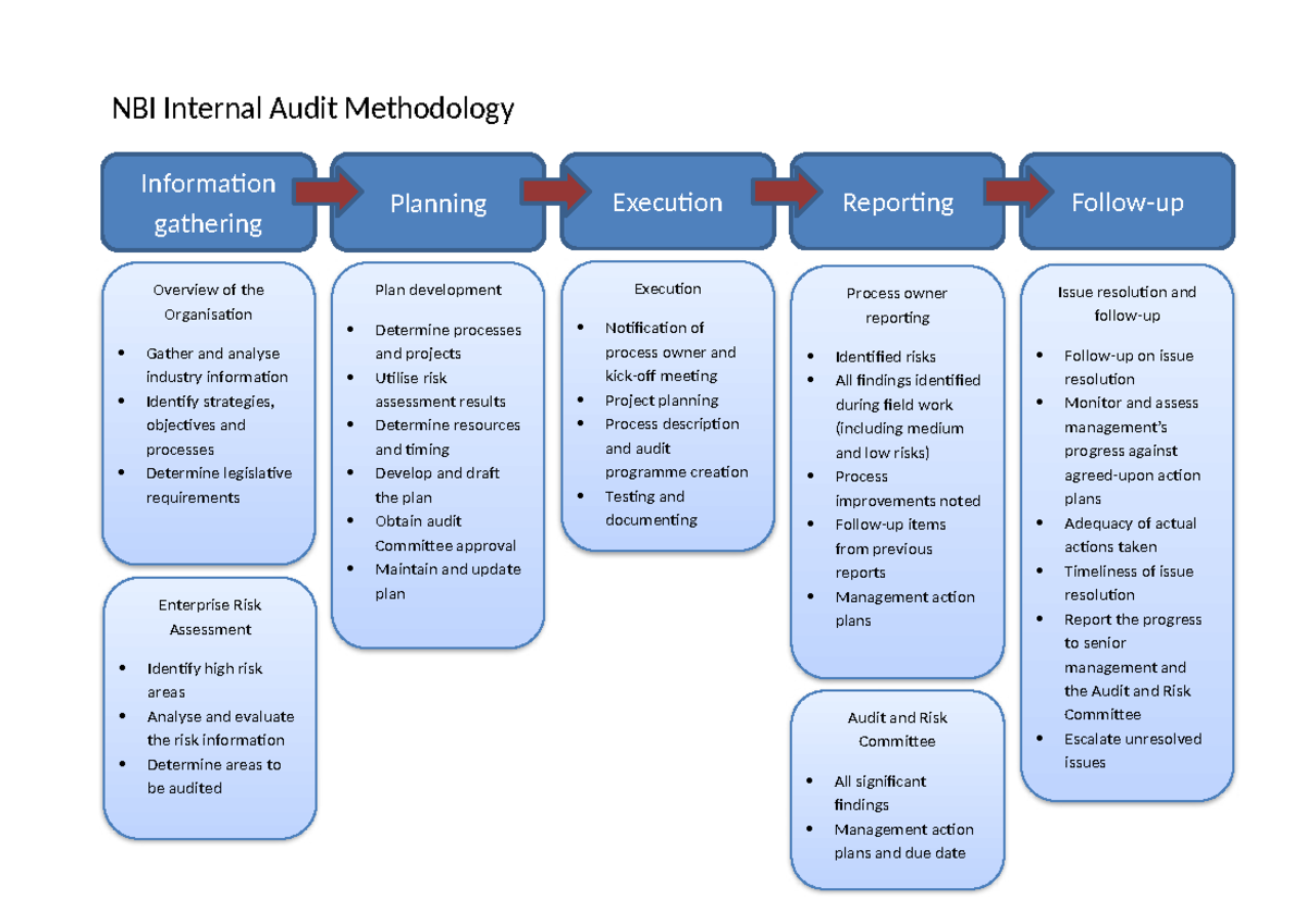 NBI Internal Audit Methodology: Overview & Execution Strategies - Studocu