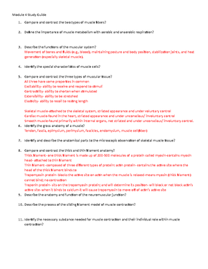 [Solved] Which of the following best describes what a fixator muscle ...