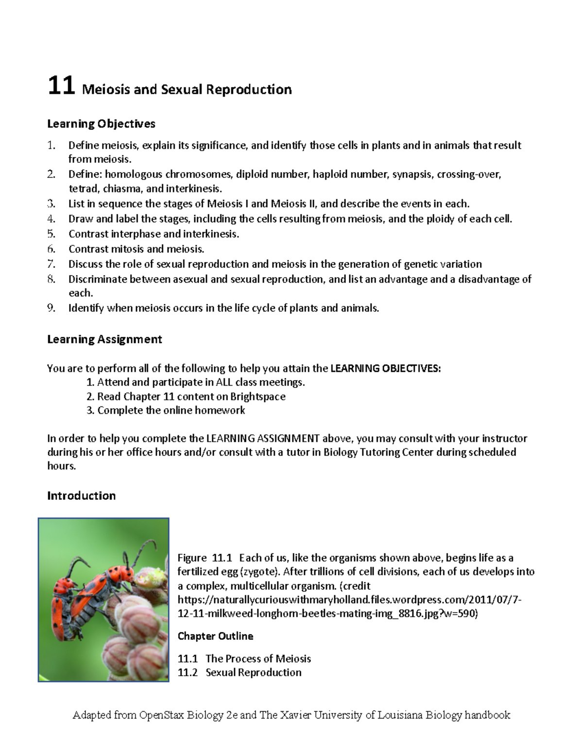 Meiosis and Sexual Reproduction Study Guide (BIO 101) - Adapted from ...