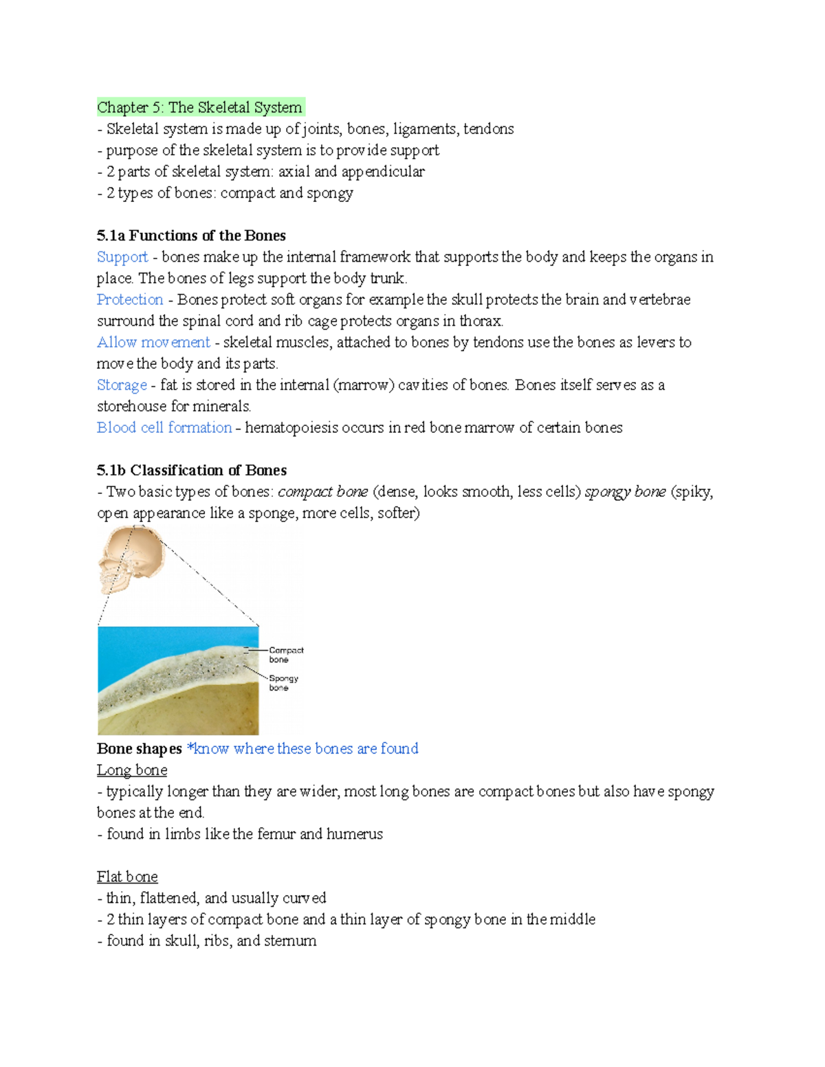 Chapter 5 - Overview of the Skeletal System and Its Functions - Studocu