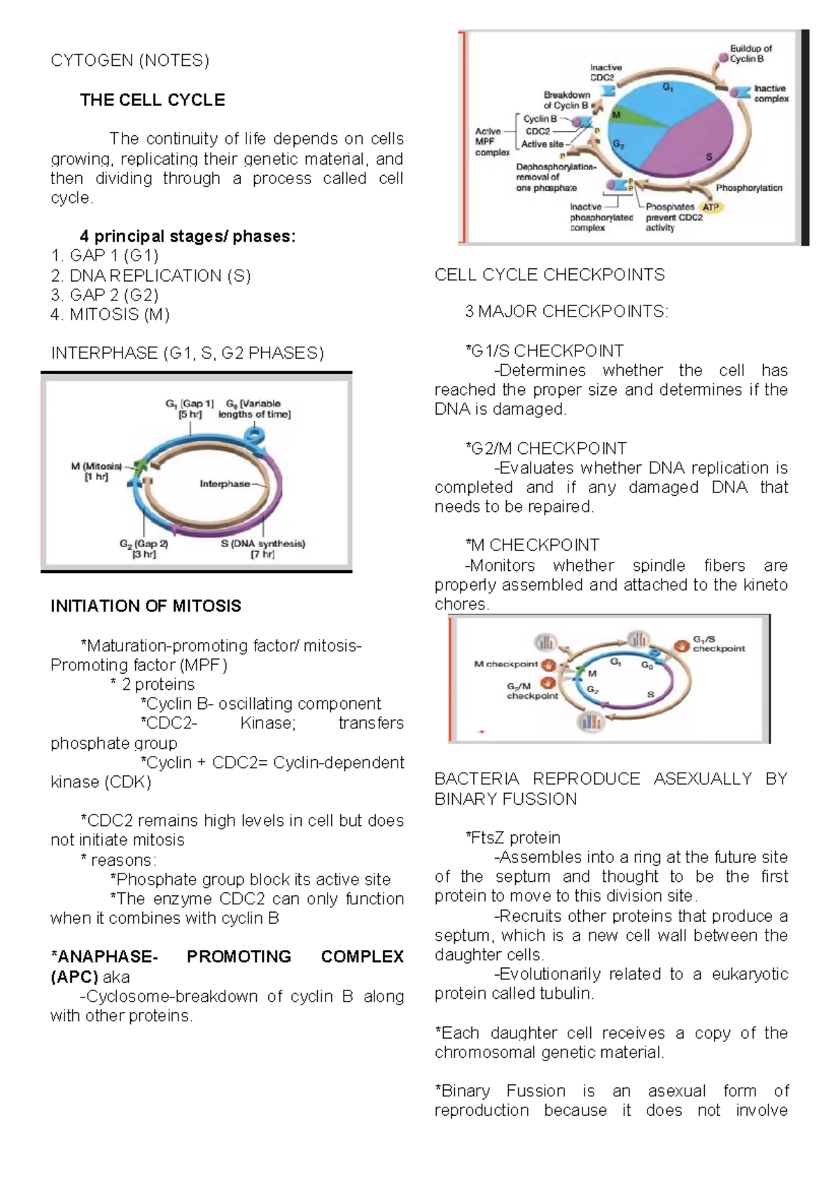 Cyto-Reviewer - Cytogenetics - CYTOGEN (NOTES) THE CELL CYCLE The ...
