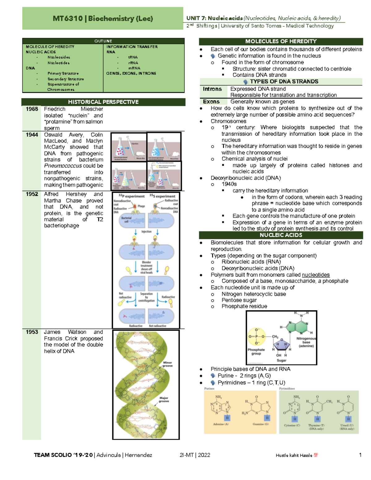 Biochem 7 Nucleic acids, Nucleotides, Nucleic acids, and Heredity (T ...