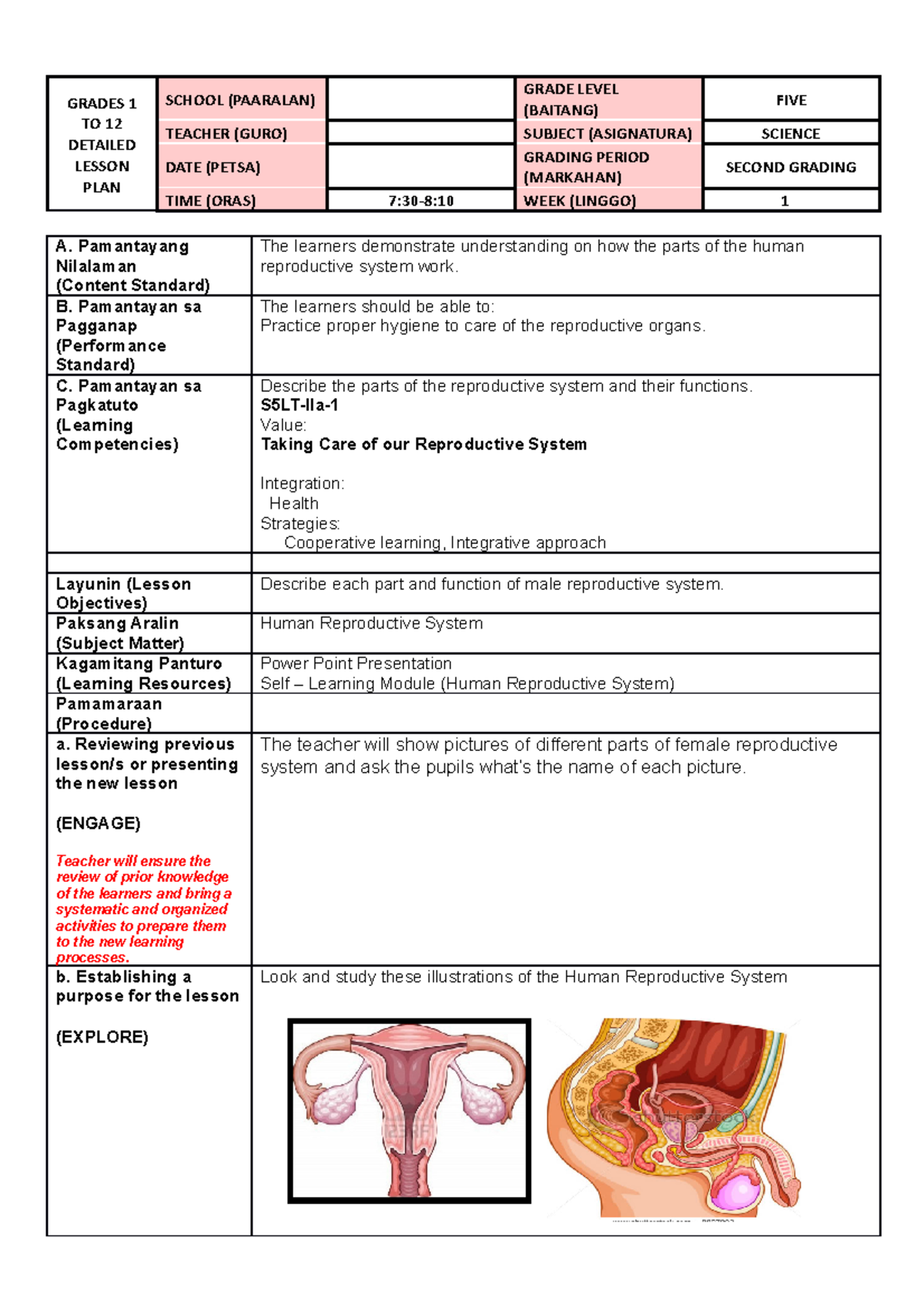 COT-SCI-5 Lesson Plan on the Human Reproductive System - Studocu