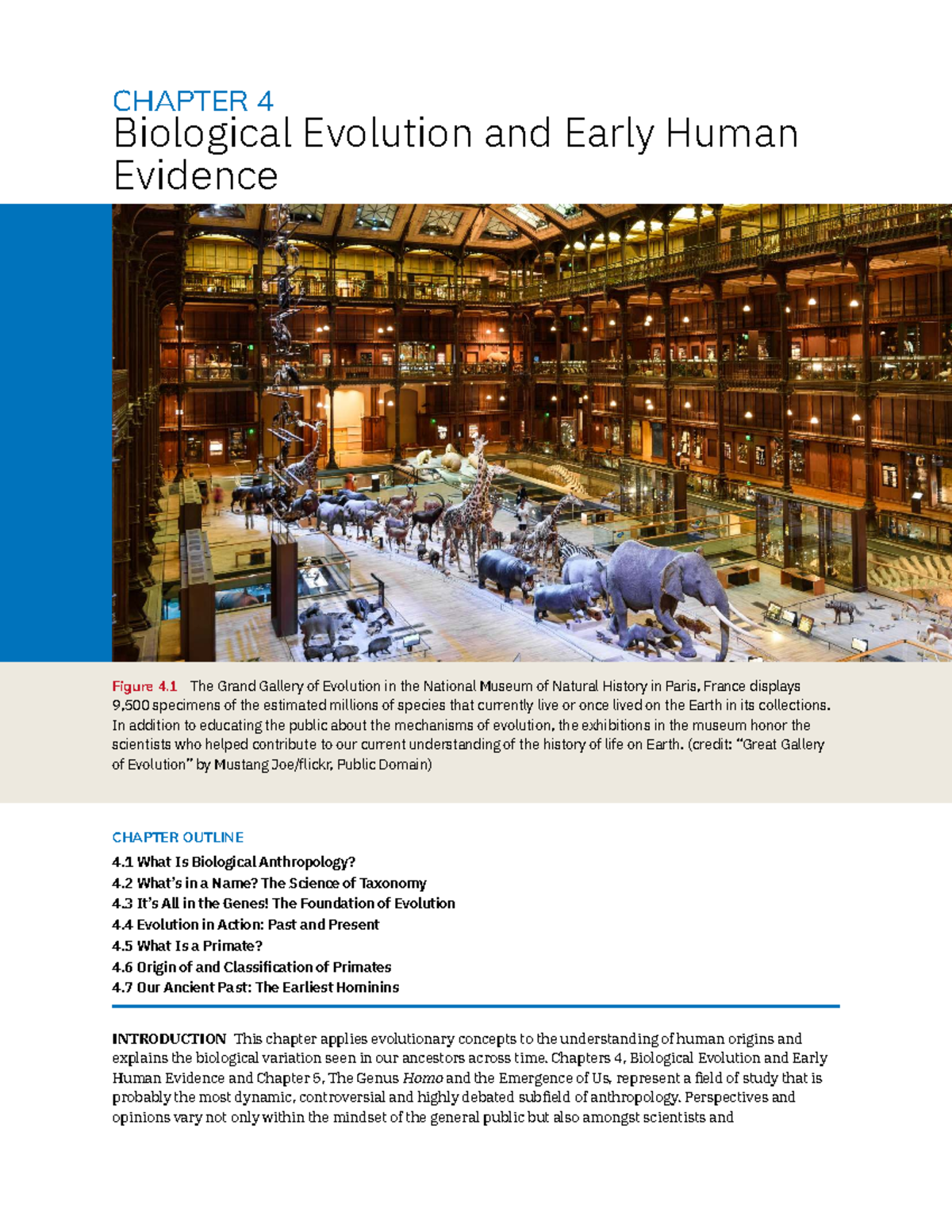 Biological Evolution and Early Human Evidence: Key Concepts (ANTH 101 ...