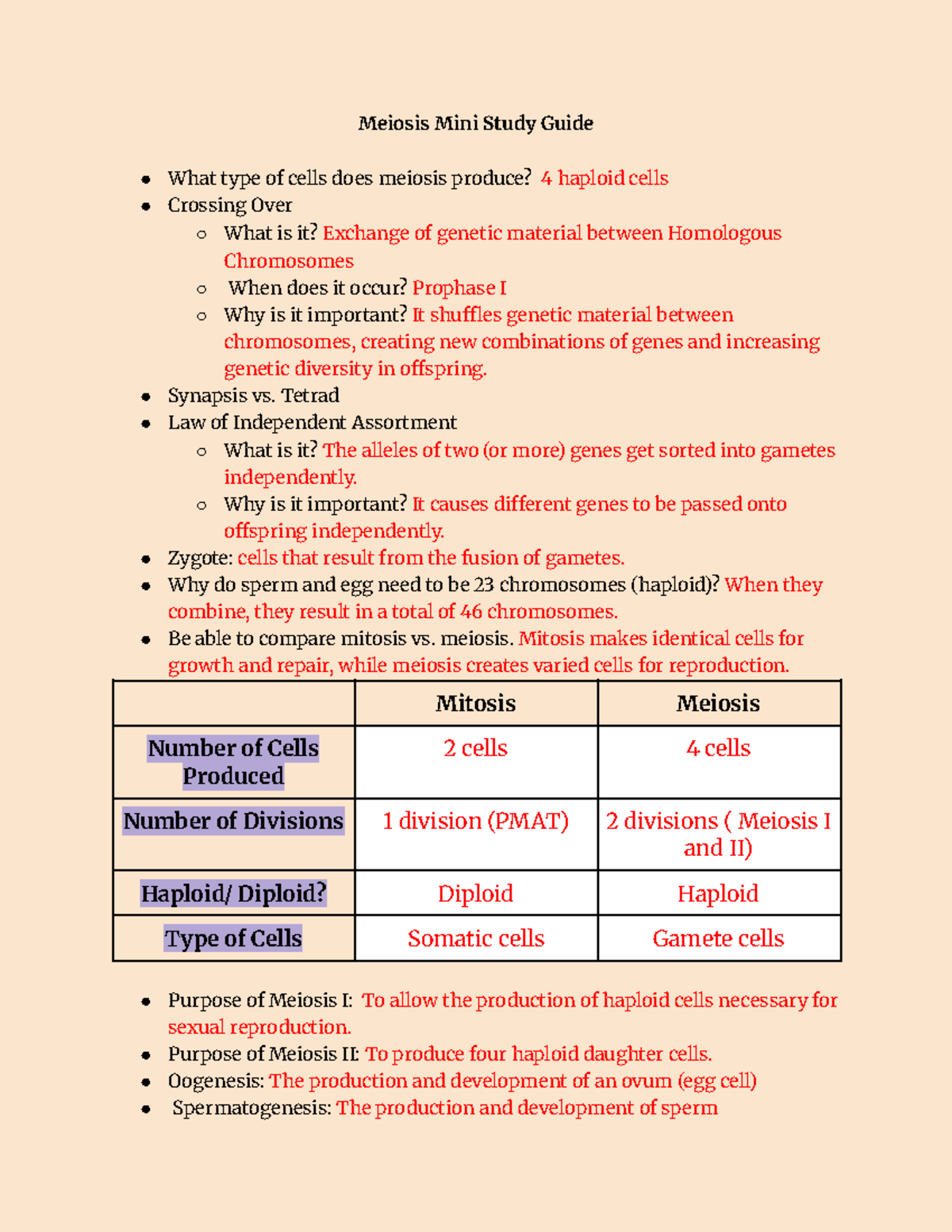 Meiosis Mini Study Guide for Biology 101 Exam Preparation - Meiosis ...