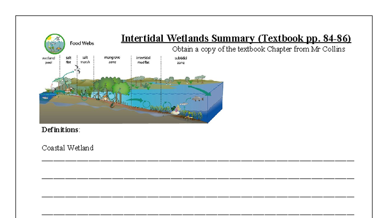1a - Intertidal Wetlands Summary Worksheet - Intertidal Wetlands ...