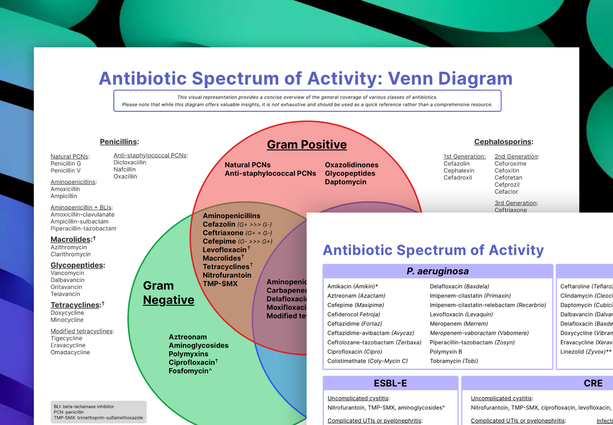 Antibiotic Spectrum of Activity: Overview and Key Insights - Studocu