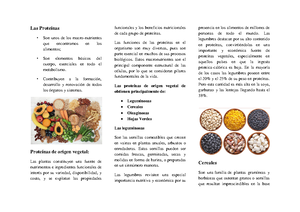 Cultura y Tradición de la Región Centro Occidental de Venezuela ...