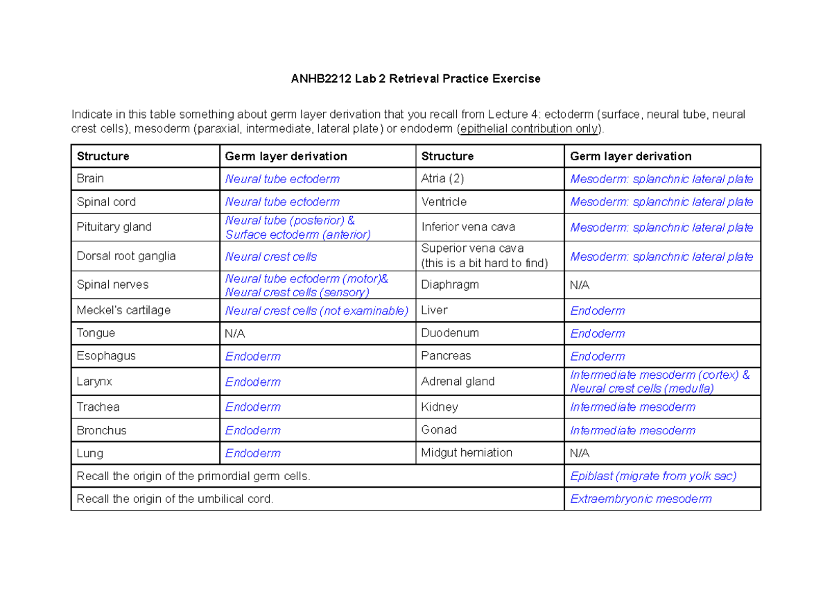 ANHB2212 Lab 2 Retrieval Practice Exercise: Germ Layer Derivation Insights - Studocu