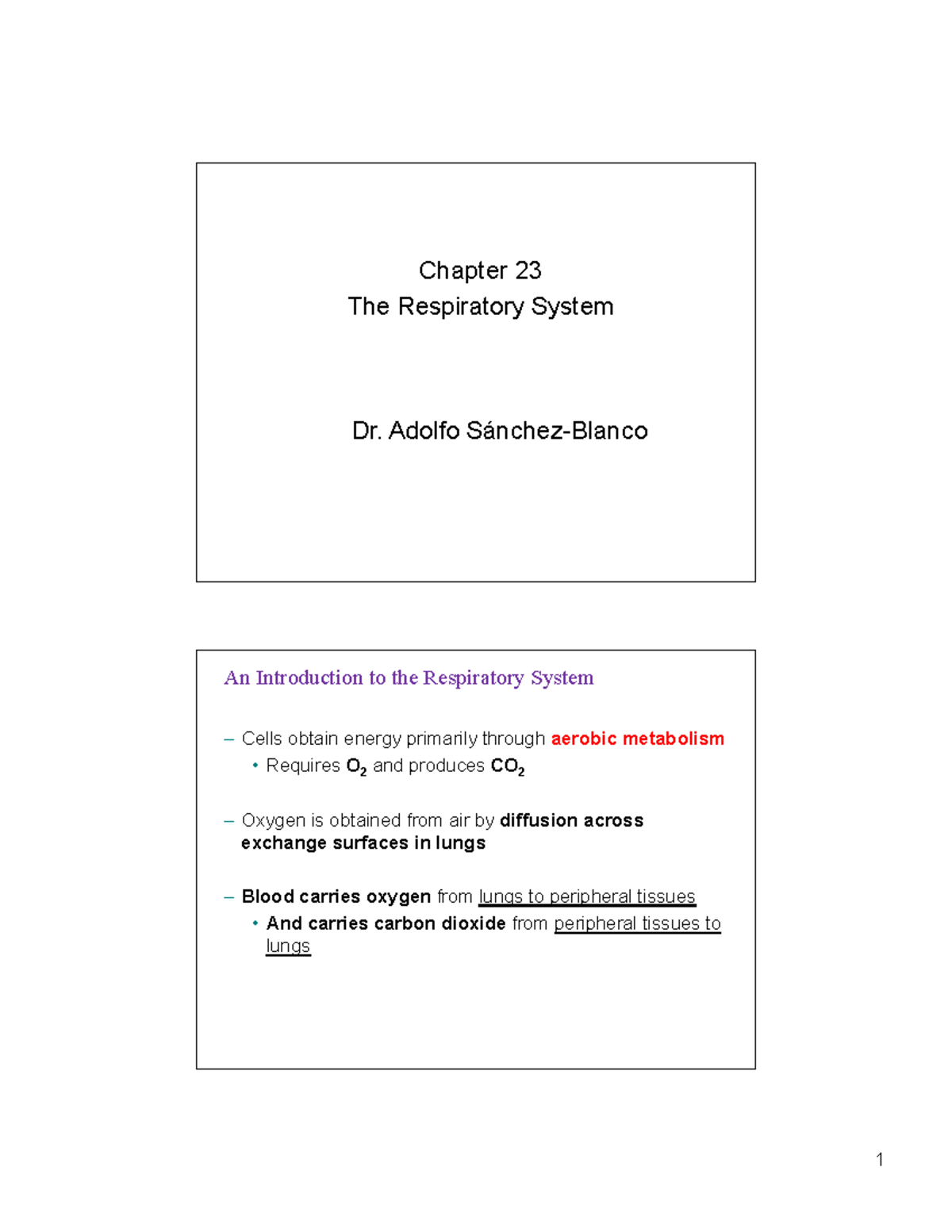 Final Exam Notes: The Respiratory System (Course Code: BIO 101 ...