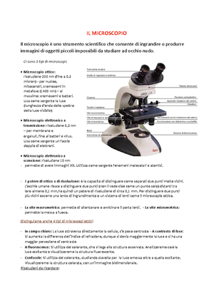 [Solved] Una nave sta lasciando il molo alla velocit di 3 ms Un ...