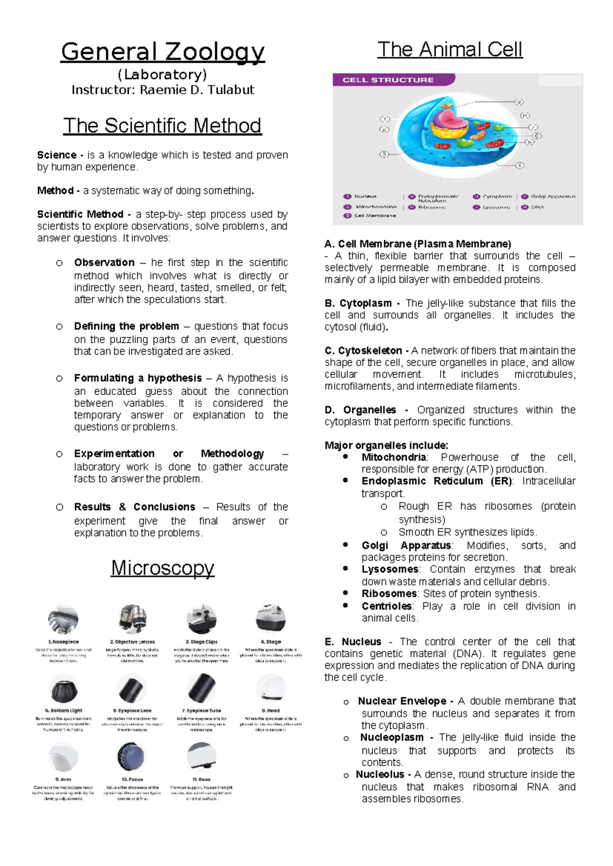 General Zoology Lab Prelims: Exploring the Animal Cell - Studocu