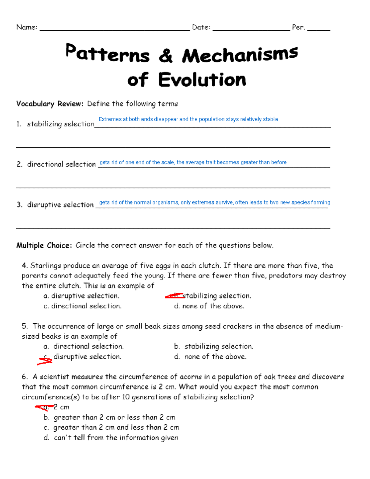 Kami Export - Patterns & Mechanisms of Evolution - Name: Date: Patterns ...