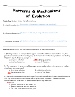Kami Export - Snurfle Meiosis and Genetics 2 Worksheet - Snurfle ...