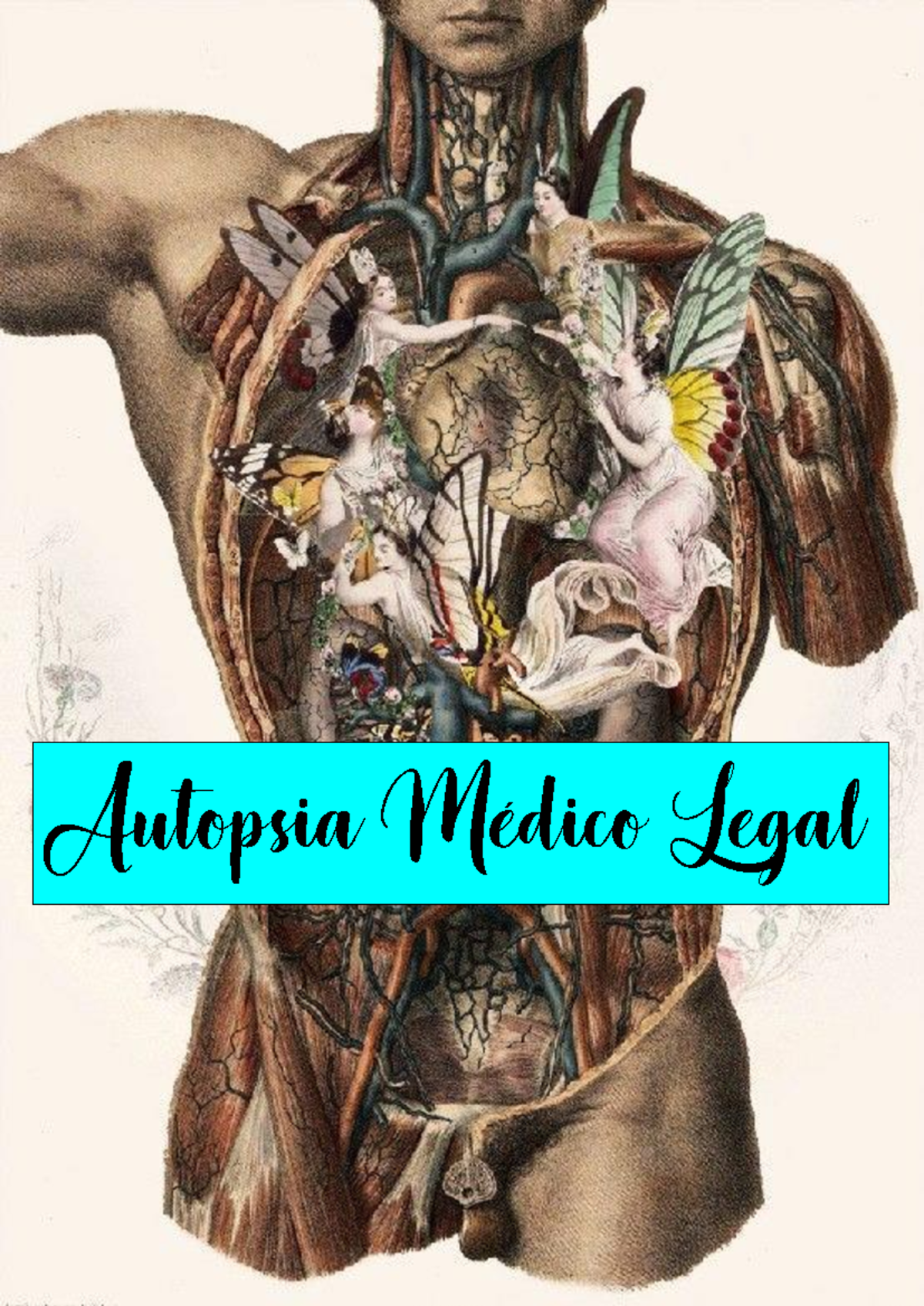 Autopsia Médico legal - Resumen Estos son documentos qué te pueden ...