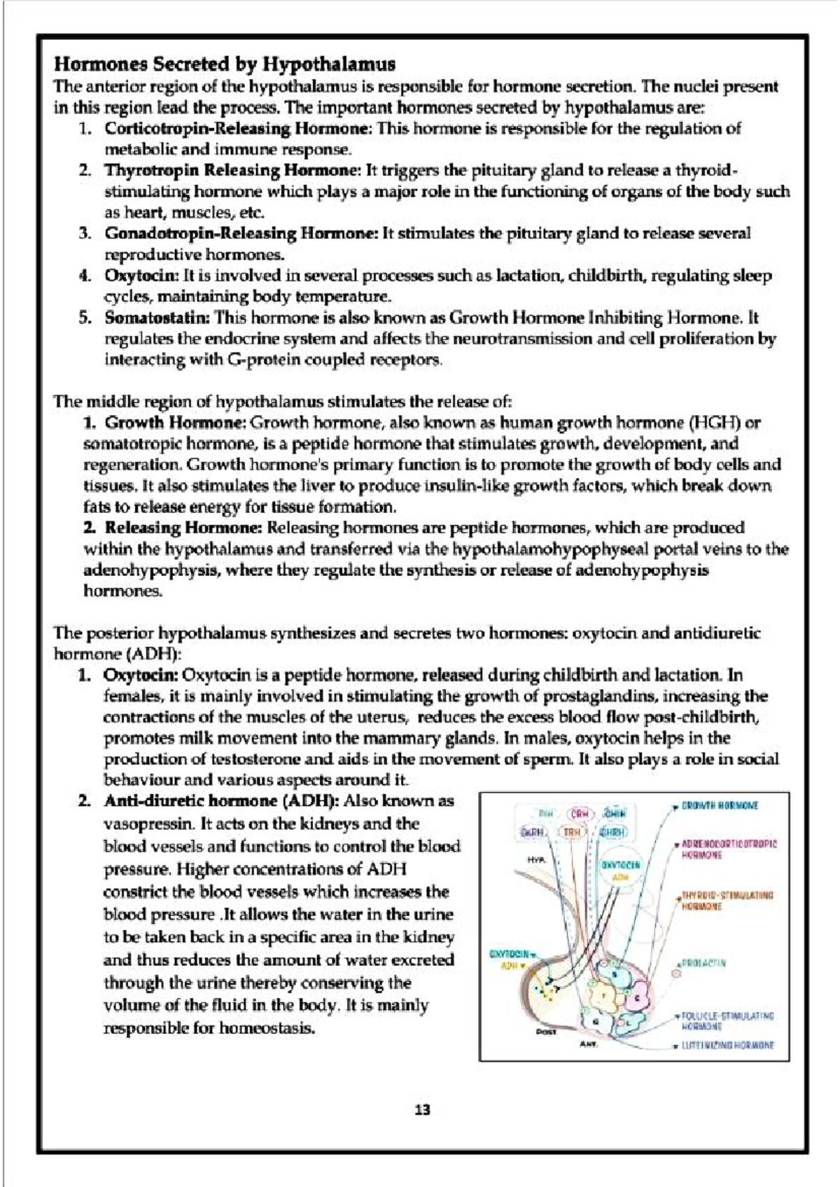 Hormones Secreted by the Hypothalamus and Related Glands - BIO 101 ...