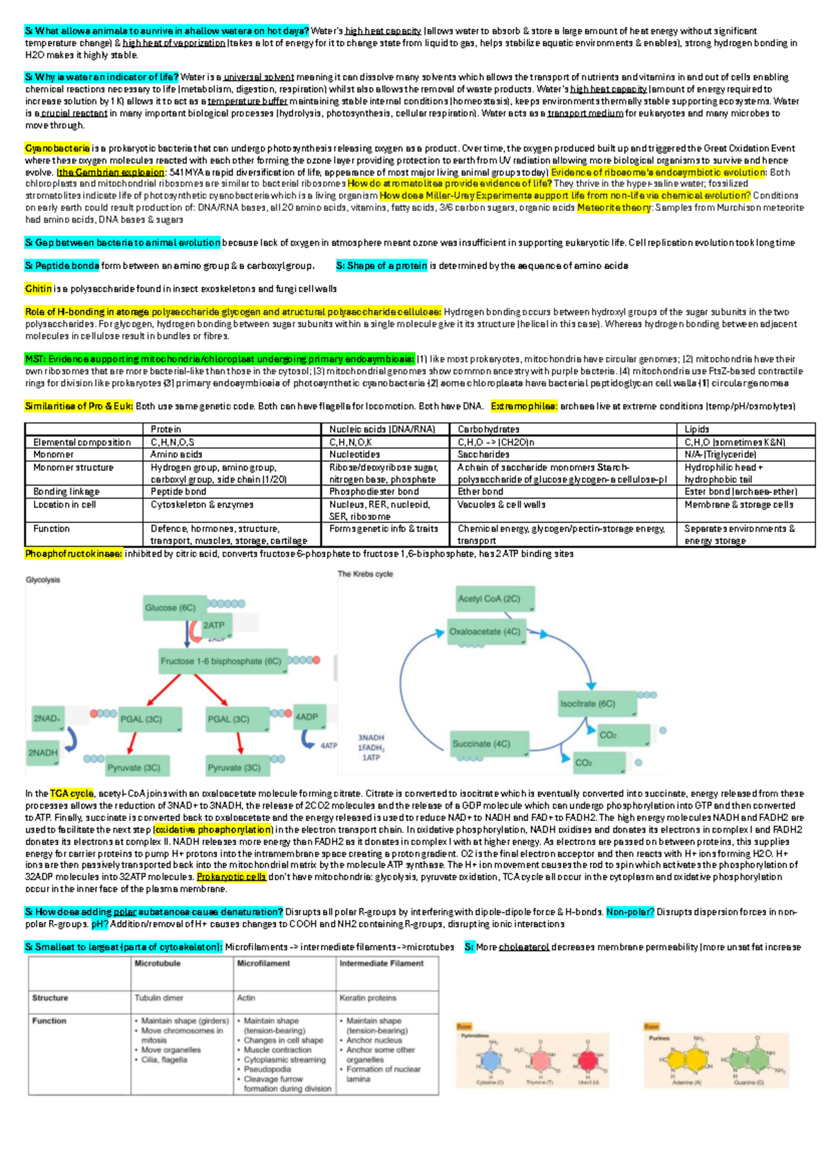 Biology Cheat Sheet: Key Concepts on Water, Cells, and Evolution - Studocu