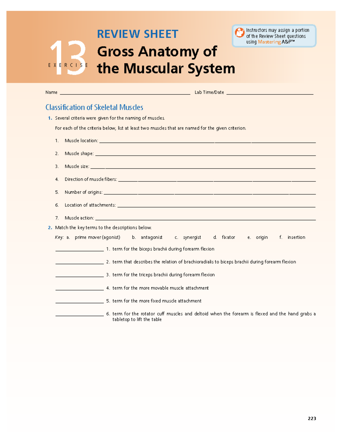 Chapter 13 - Lab HW - Exercise 13 Review sheets - ####### 223223 ####### Instructors may assign ...