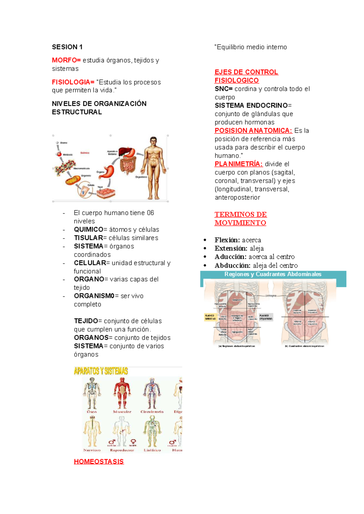 Resumen de Morfología: Examen SESION 1 y 2 de Anatomía - Studocu