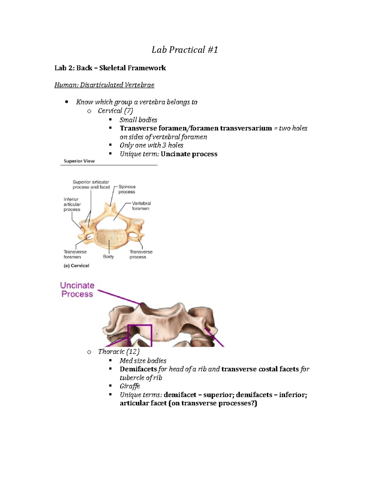 Lab Practical #1 - Lecture notes 1-6 - Lab Practical Lab 2: Back ...