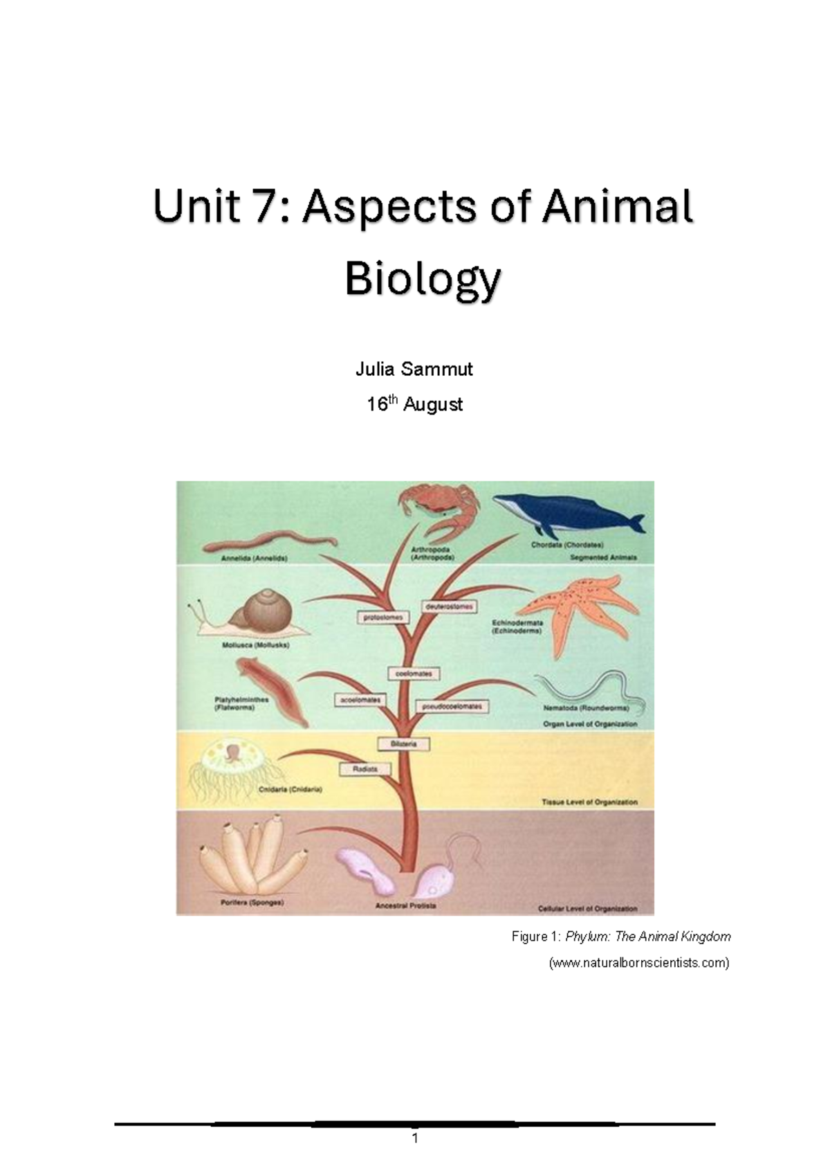 Unit 7: Assignment on Key Aspects of Animal Biology - Studocu