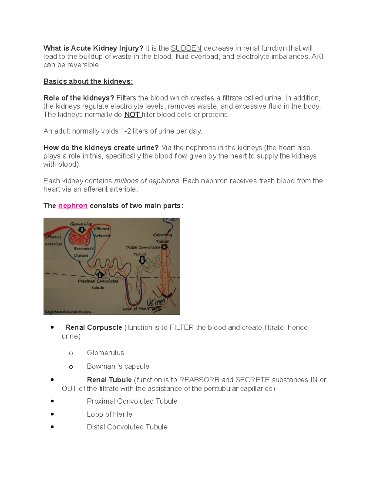 AKI Overview and Stages: Key Notes for Nursing Students - Studocu