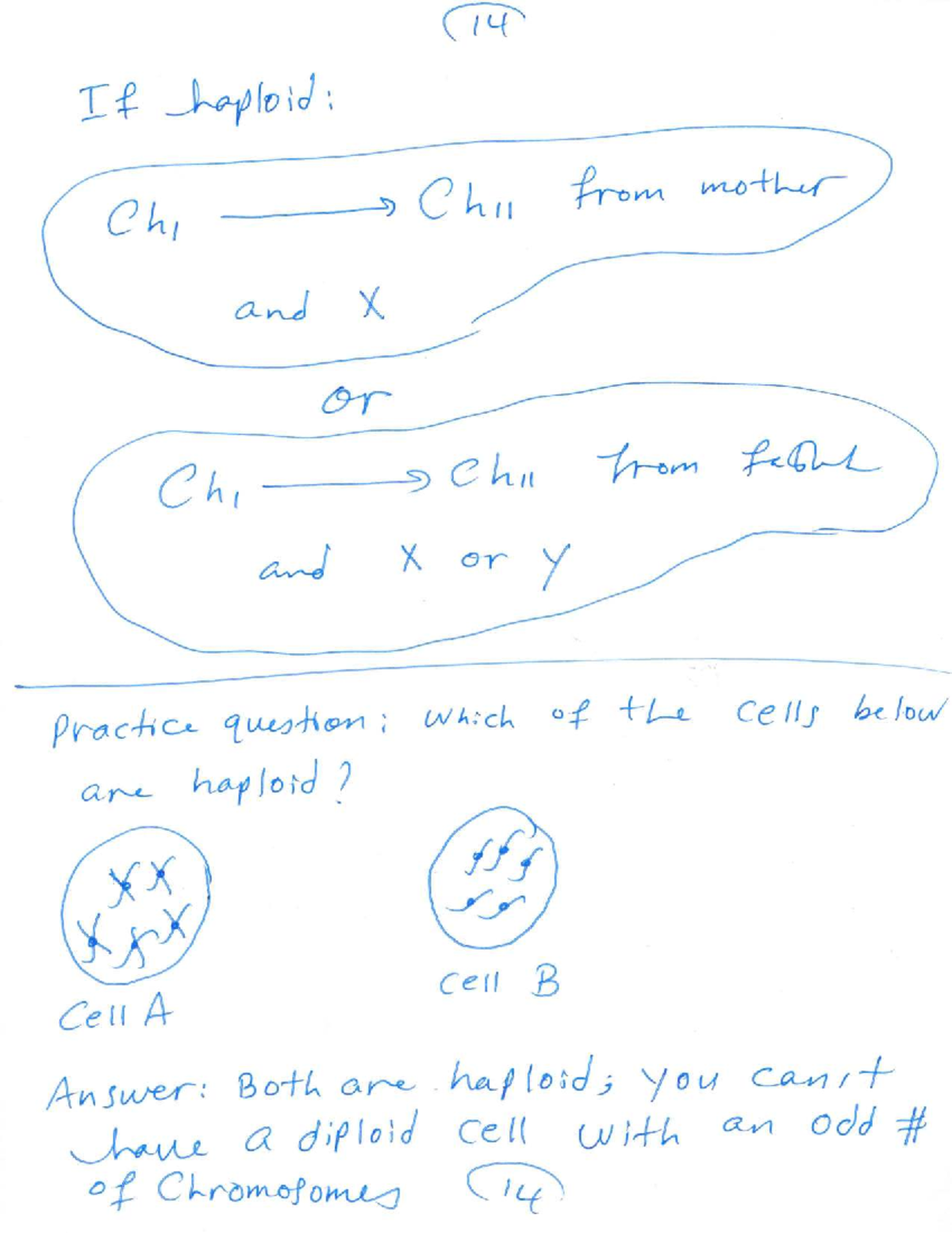 Final Exam Study Guide for Course ABC123: Key Concepts and Review - BIO ...