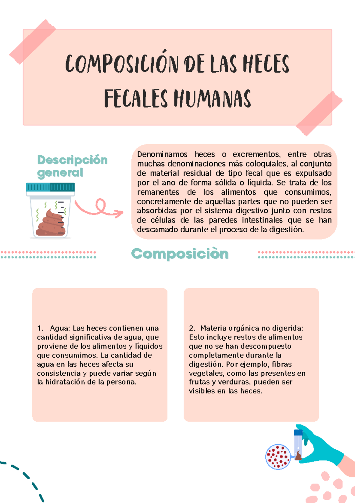 Composición de las Heces Humanas (EYMI) - Análisis y Descripción - Studocu