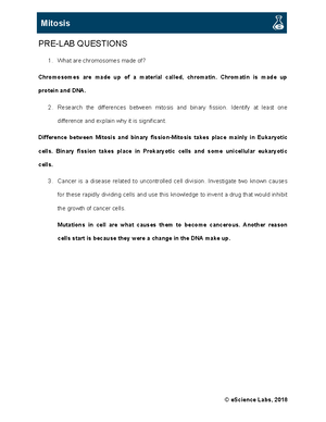 Mitosis Lab Handout NC Bio Network - Using a Microscope to View the ...