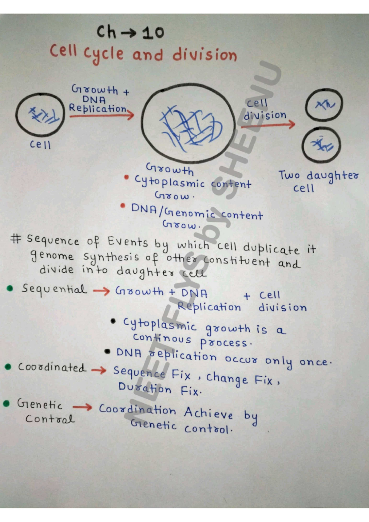 Cell cycle and division - content Grow. sequence of Events which cell ...