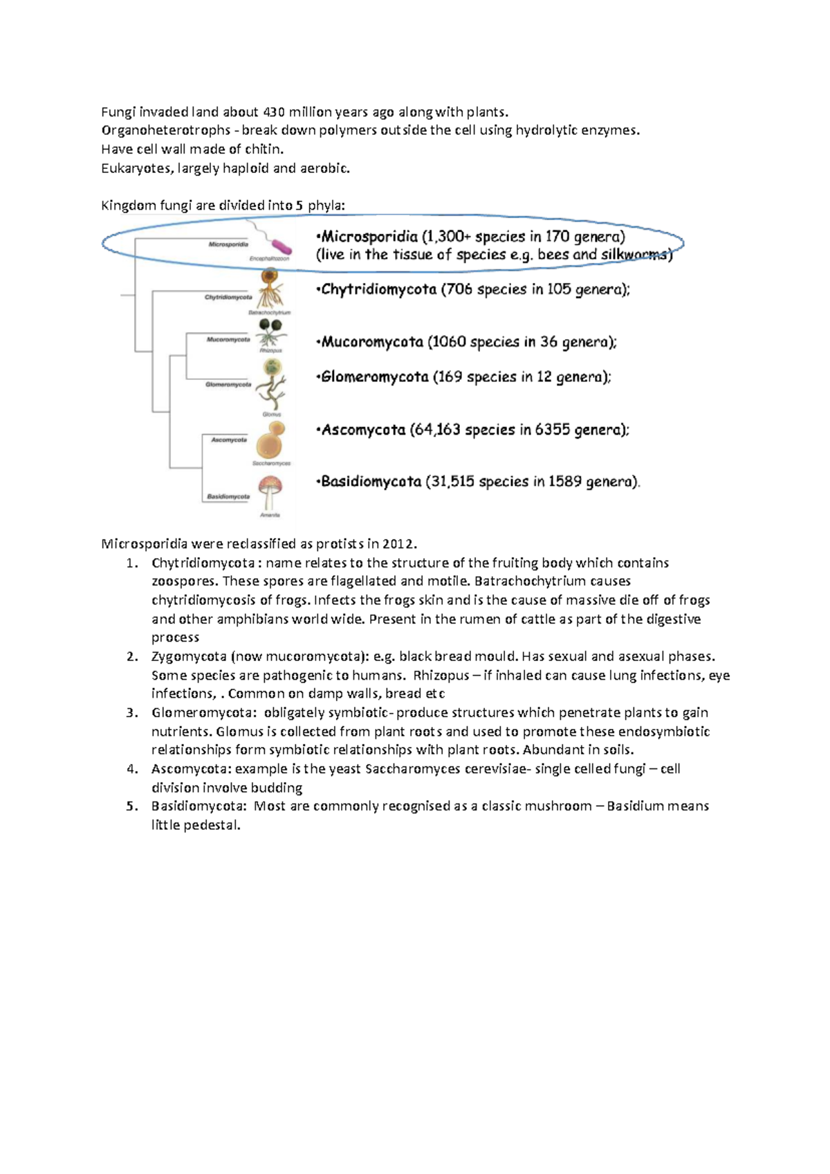 Fungi Kingdom Overview: Notes on Phyla and Characteristics - Studocu