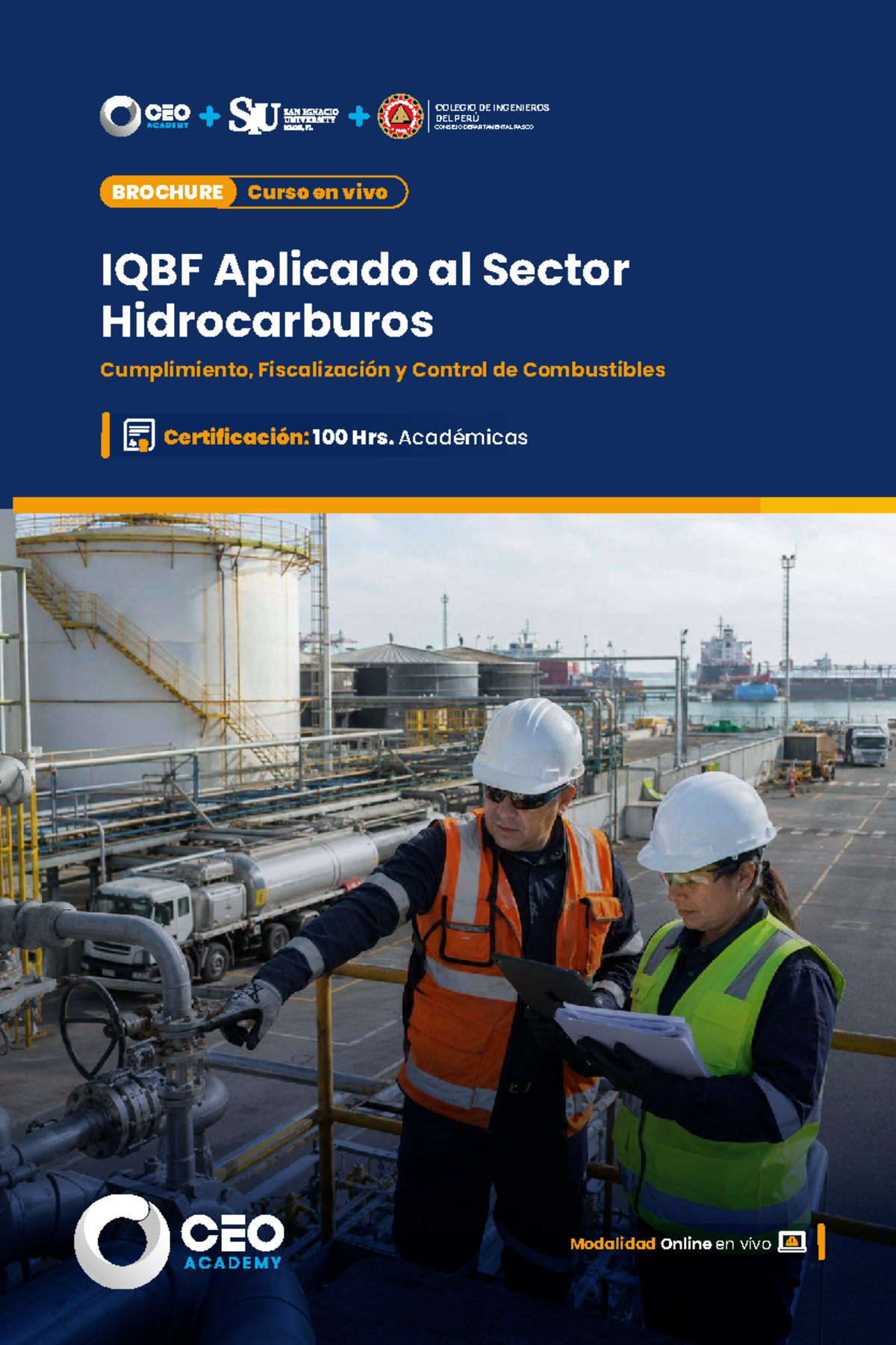 CV IQBF 2026: Control y Supervisión en el Sector Hidrocarburos - Studocu
