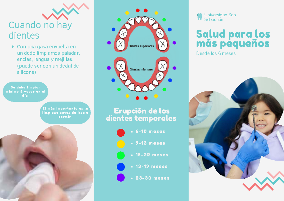 Tríptico Salud Oral CERO: Cuidado Dental Infantil 20260327 - Studocu