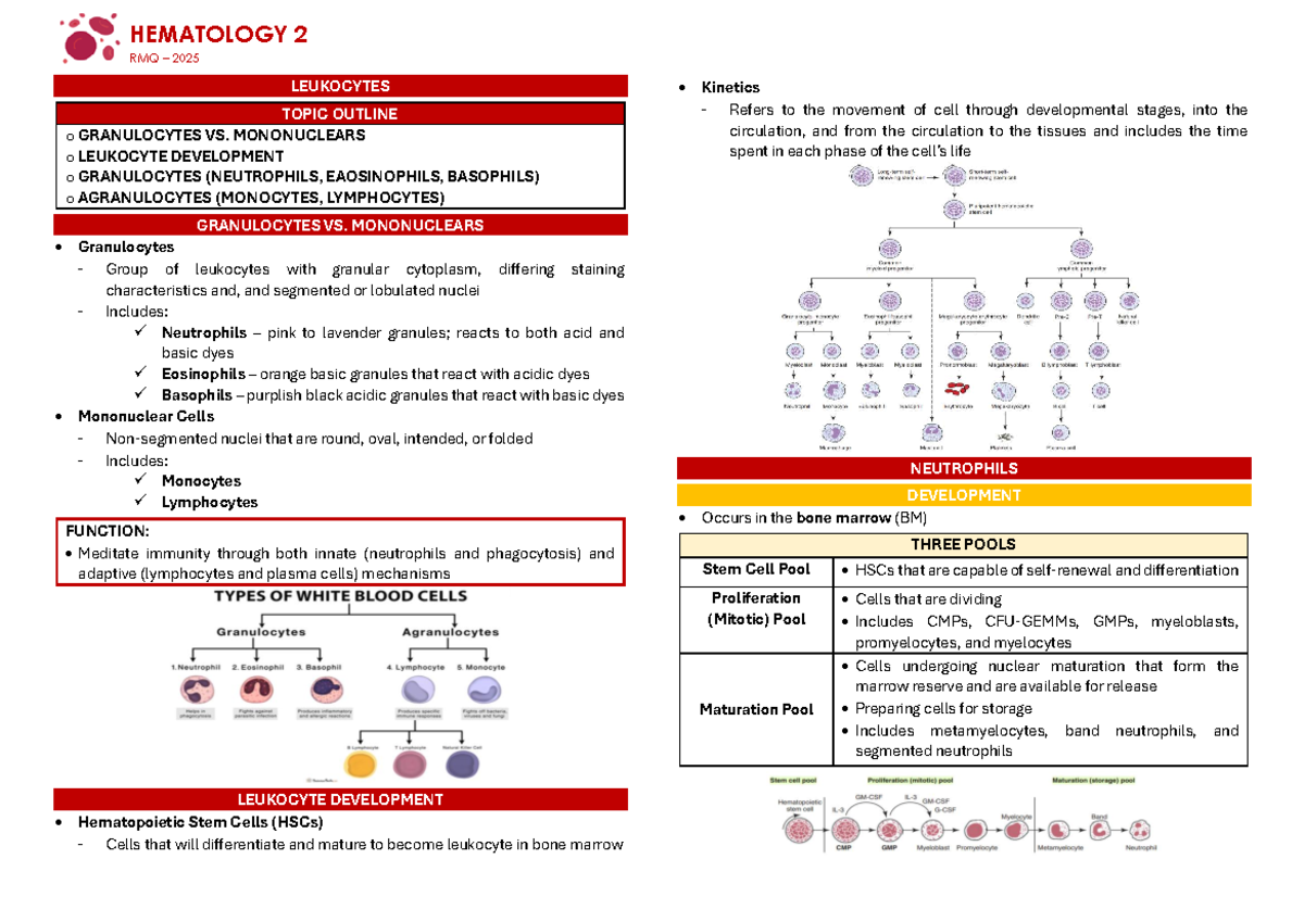 HEMA 2 WEEK 1 - hema 2 notes first lecture - HEMATOLOGY 2 RMQ – 2025 ...