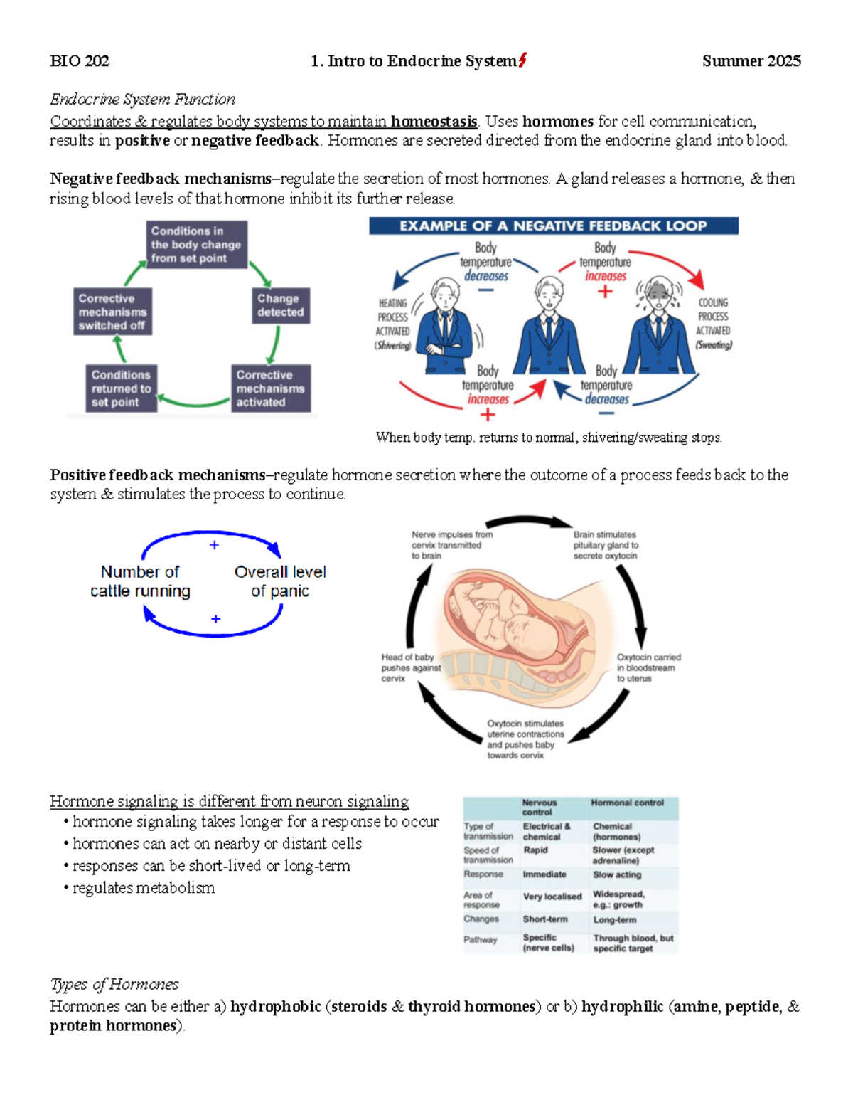 BIO 202: Endocrine System - Hormone Signaling Mechanisms Explained ...