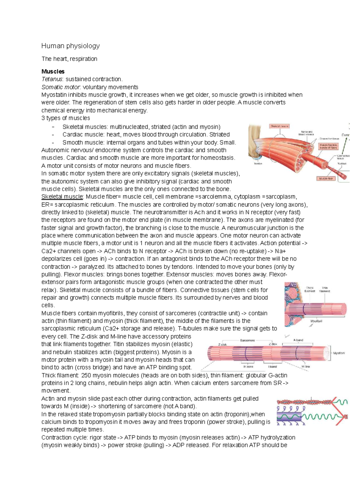 Human Physiology (Course Code: HP101) - Summary of Key Concepts ...