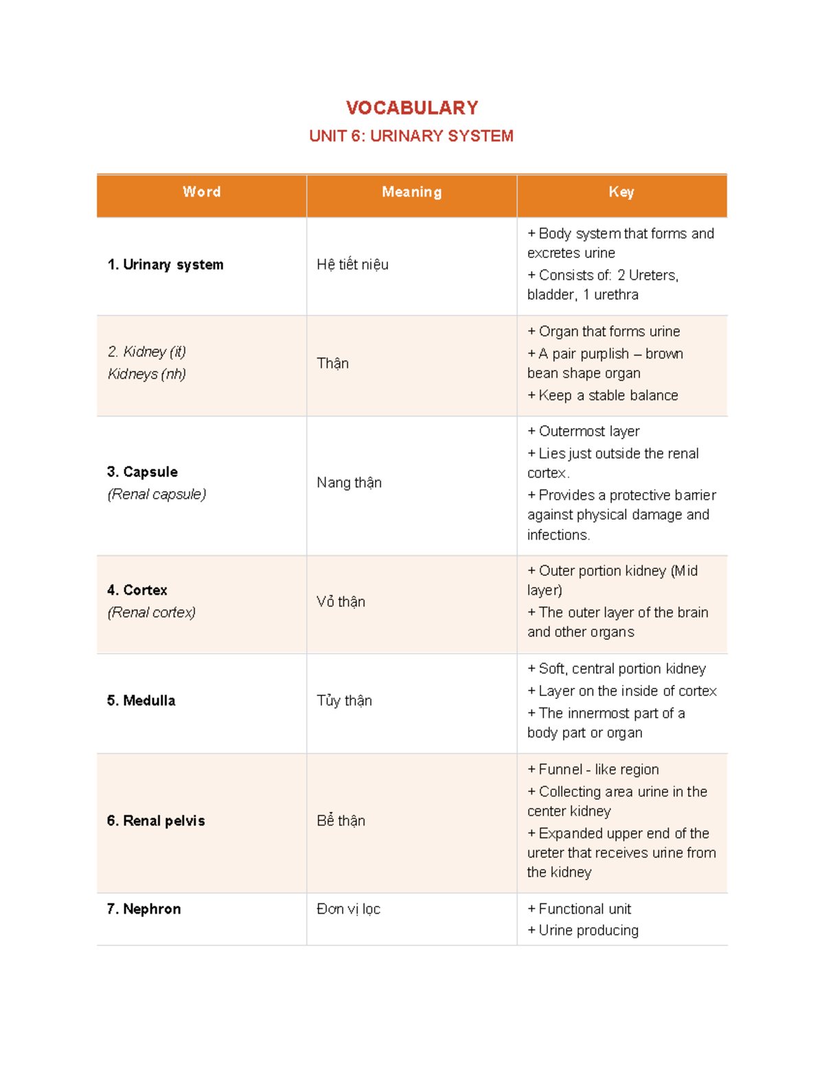 VOCABULARY UNIT 6: URINARY SYSTEM - Key Terms and Definitions - Studocu