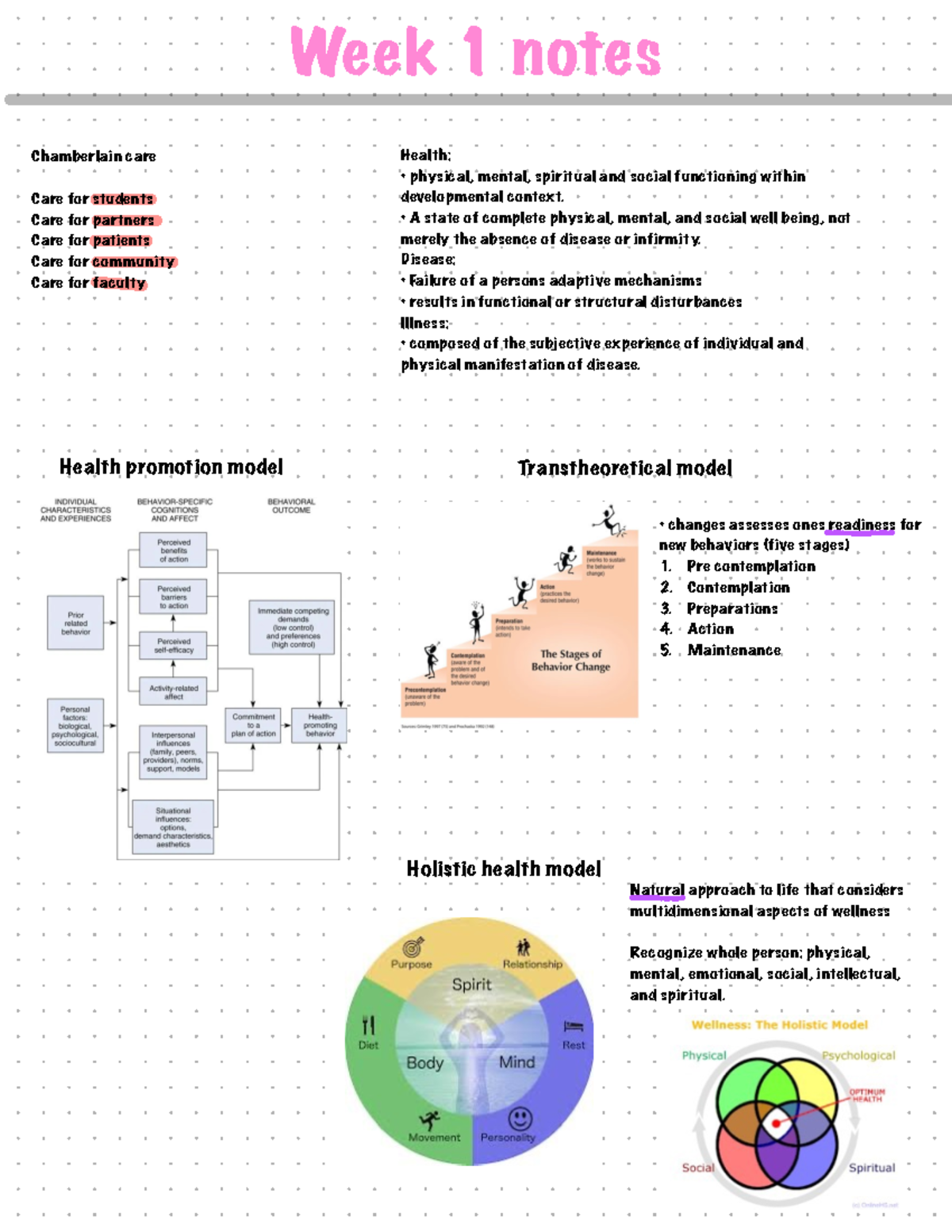 Week 1 - Edapt Notes on Health Models and Care Strategies - Studocu