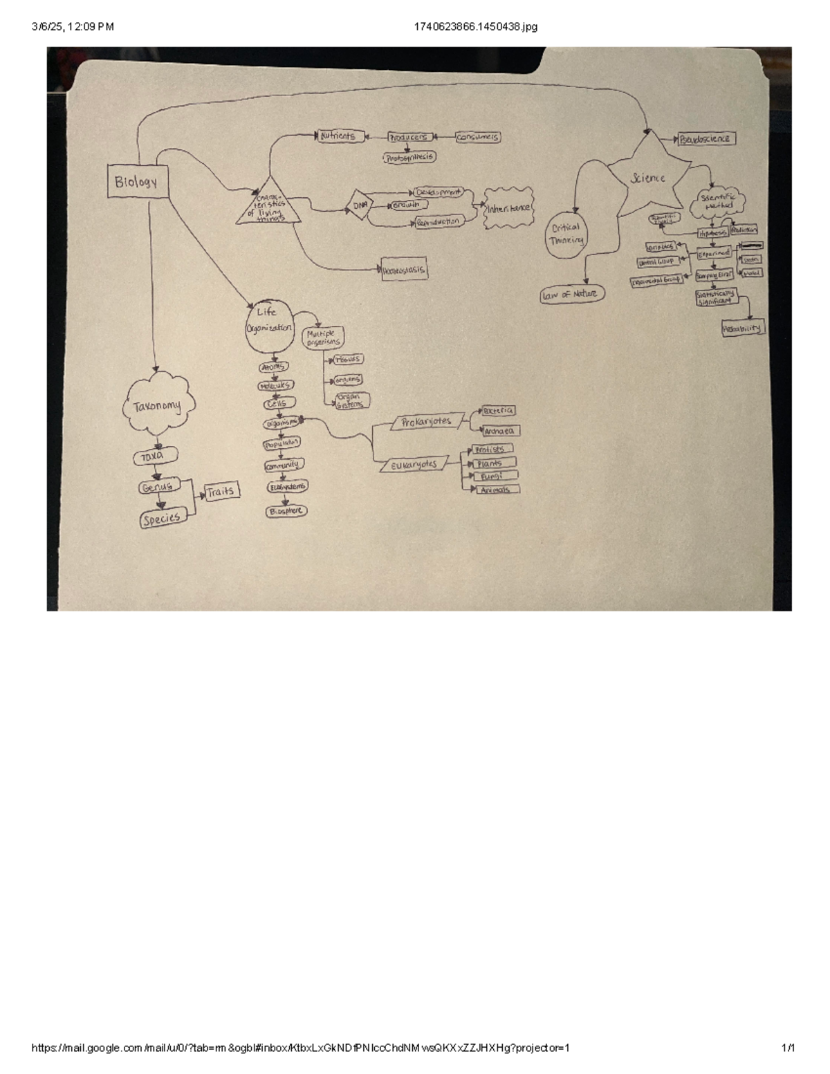 Module 1 concept map - 12:09 PM 1740623866.1450438 Nutrients producers ...