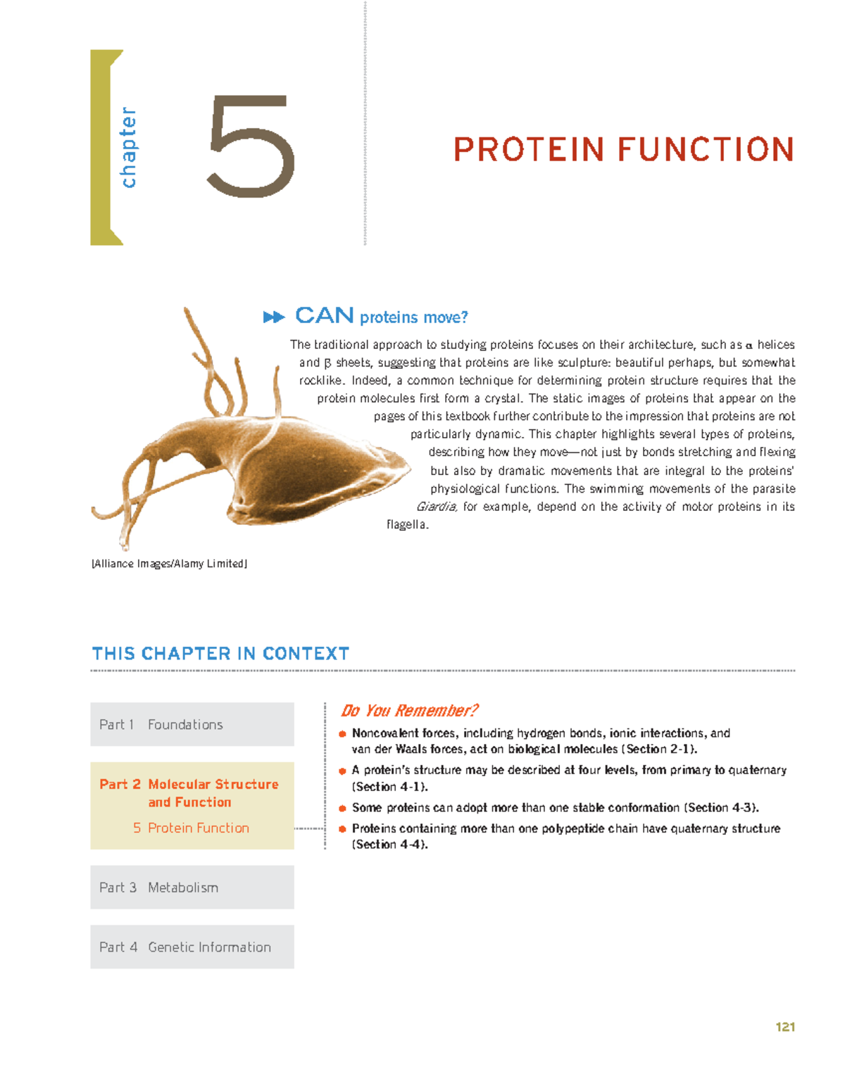 Chapter 5: Protein Function - Can Proteins Move? (Essentials of ...