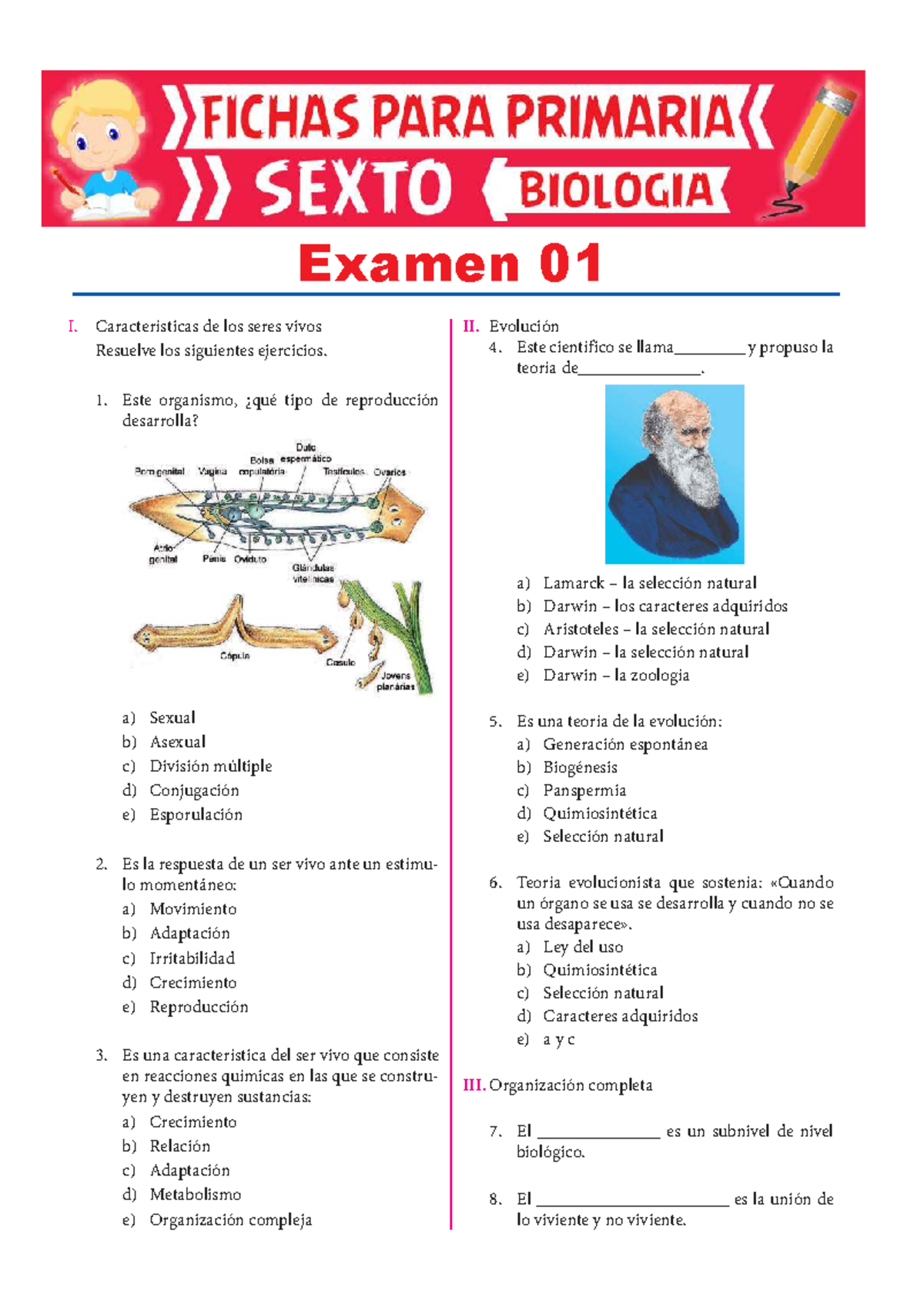 Examen 01 BIO - Características y Teorías de los Seres Vivos - Studocu
