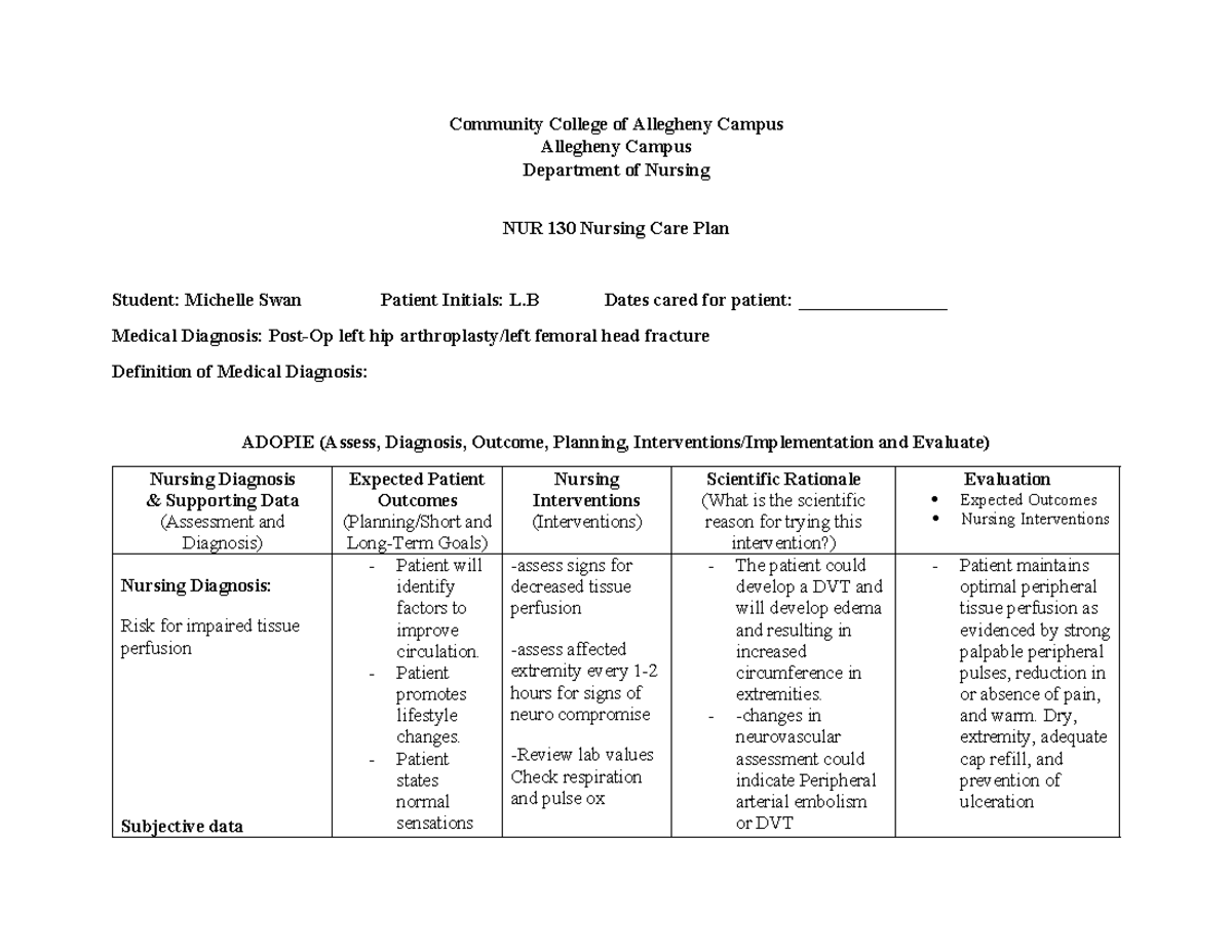 Sample Care Plan Lloyd - Community College of Allegheny Campus ...