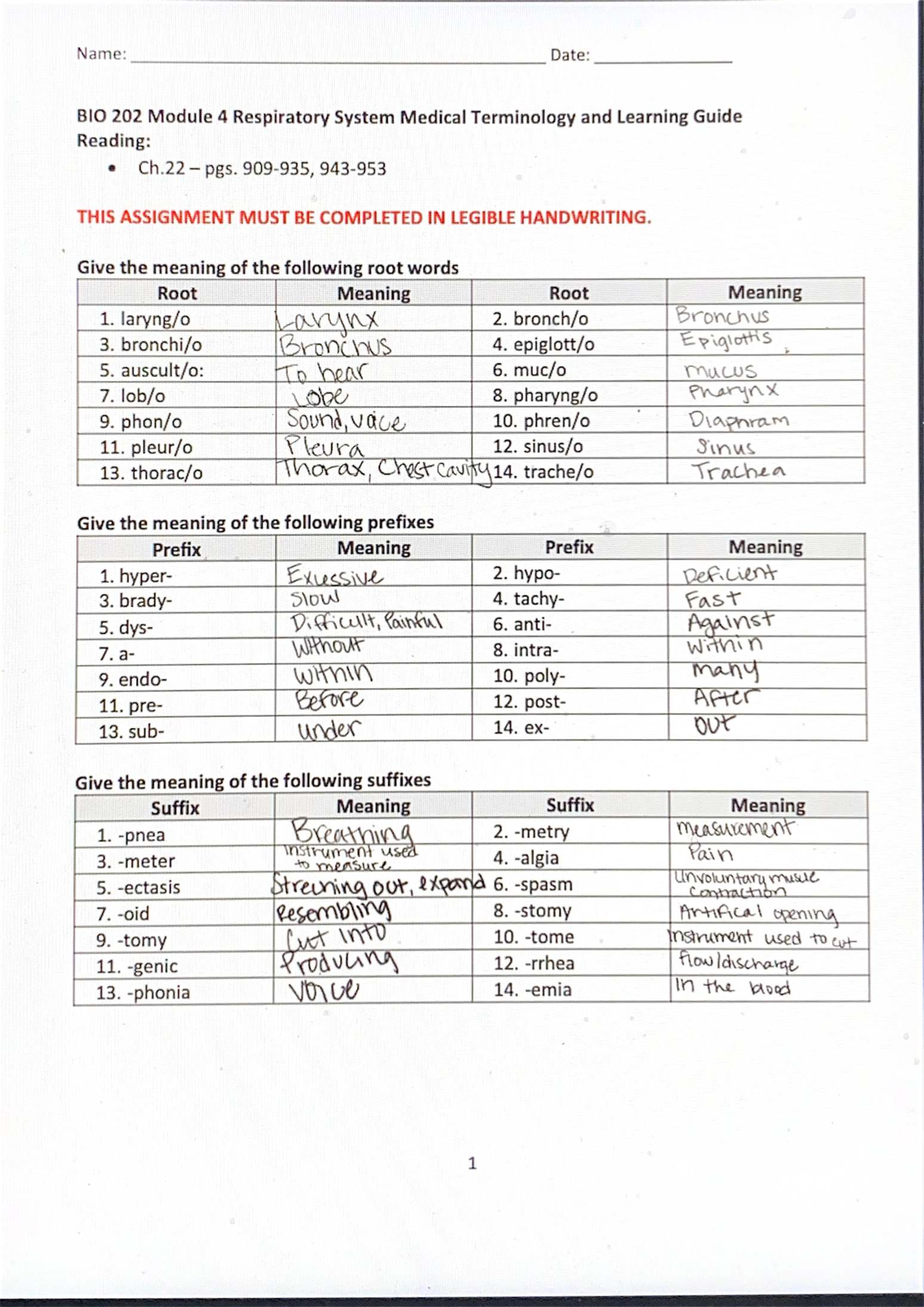 BIO 202 Module 4 Respiratory System Terminology Learning Guide - Studocu